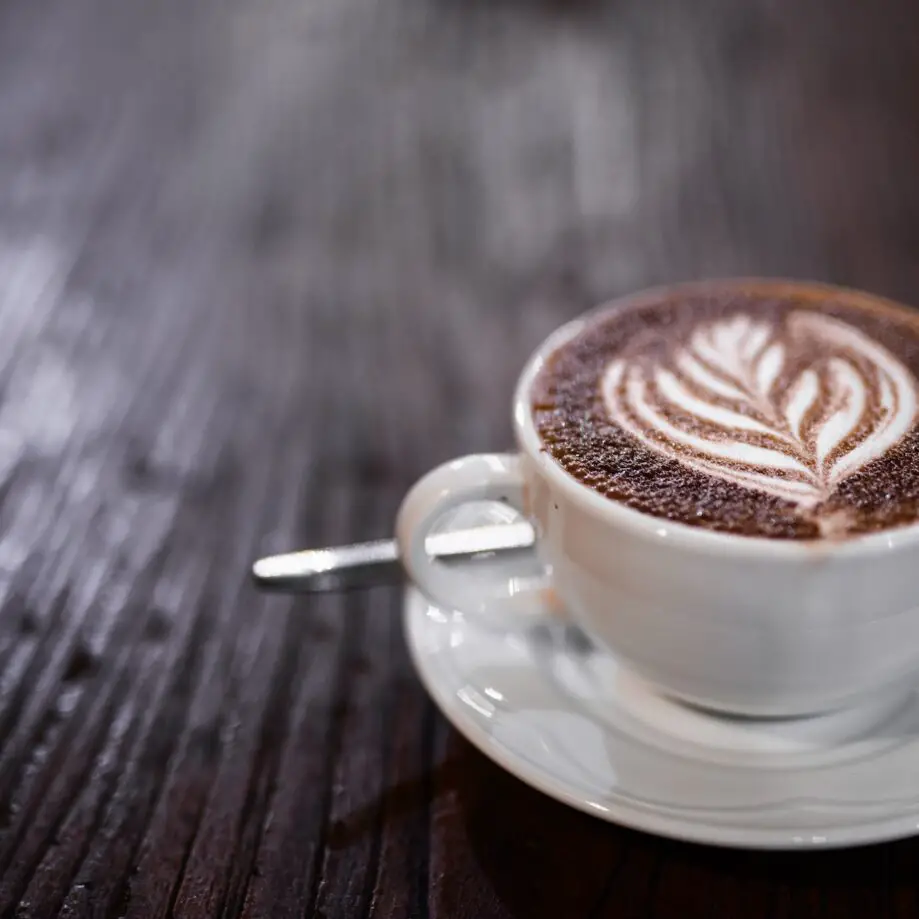 The Wonderful World of Mocaccino - Daily Demitasse