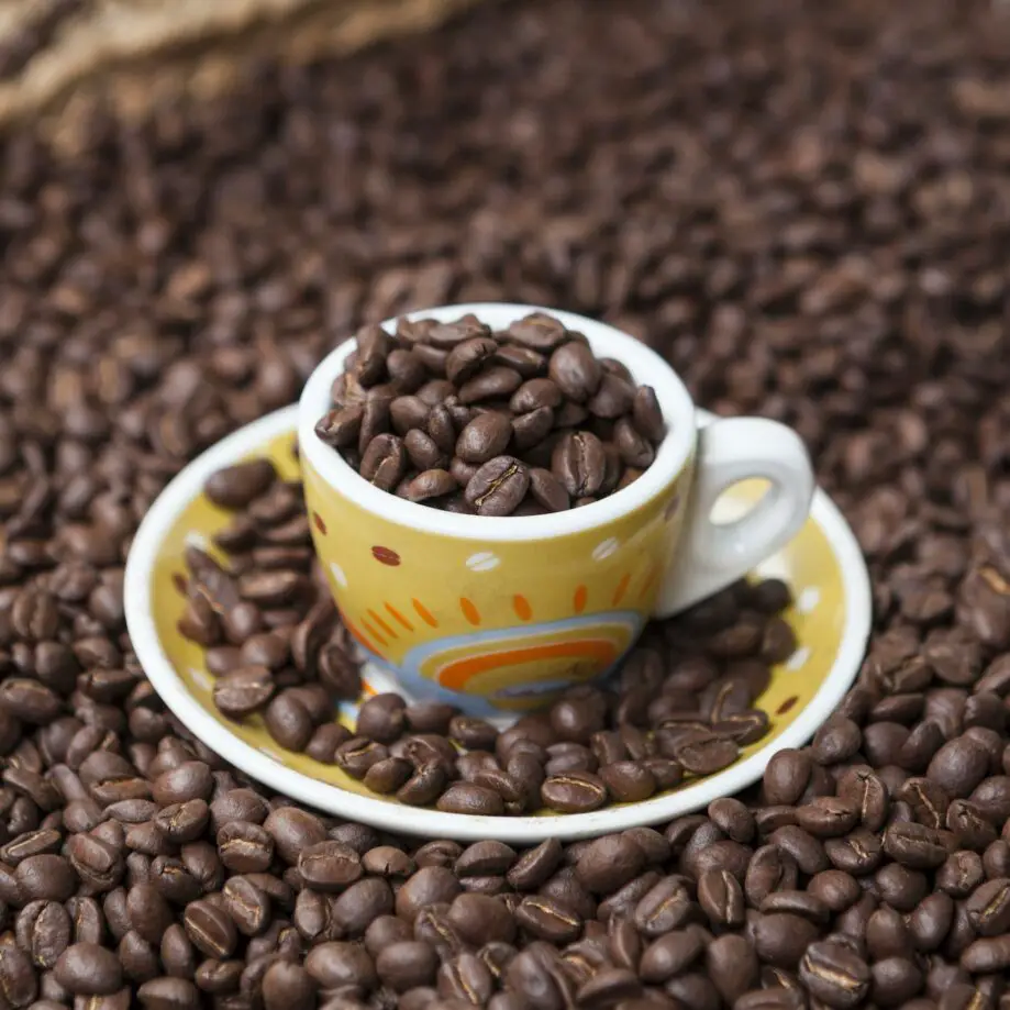 Café Du Monde Coffee: A Chicory-Infused Tale of Flavor and Tradition ...