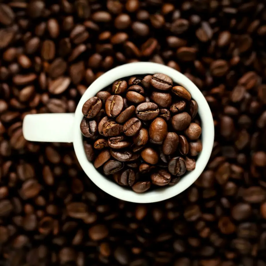 Café Du Monde Coffee: A Chicory-Infused Tale of Flavor and Tradition ...